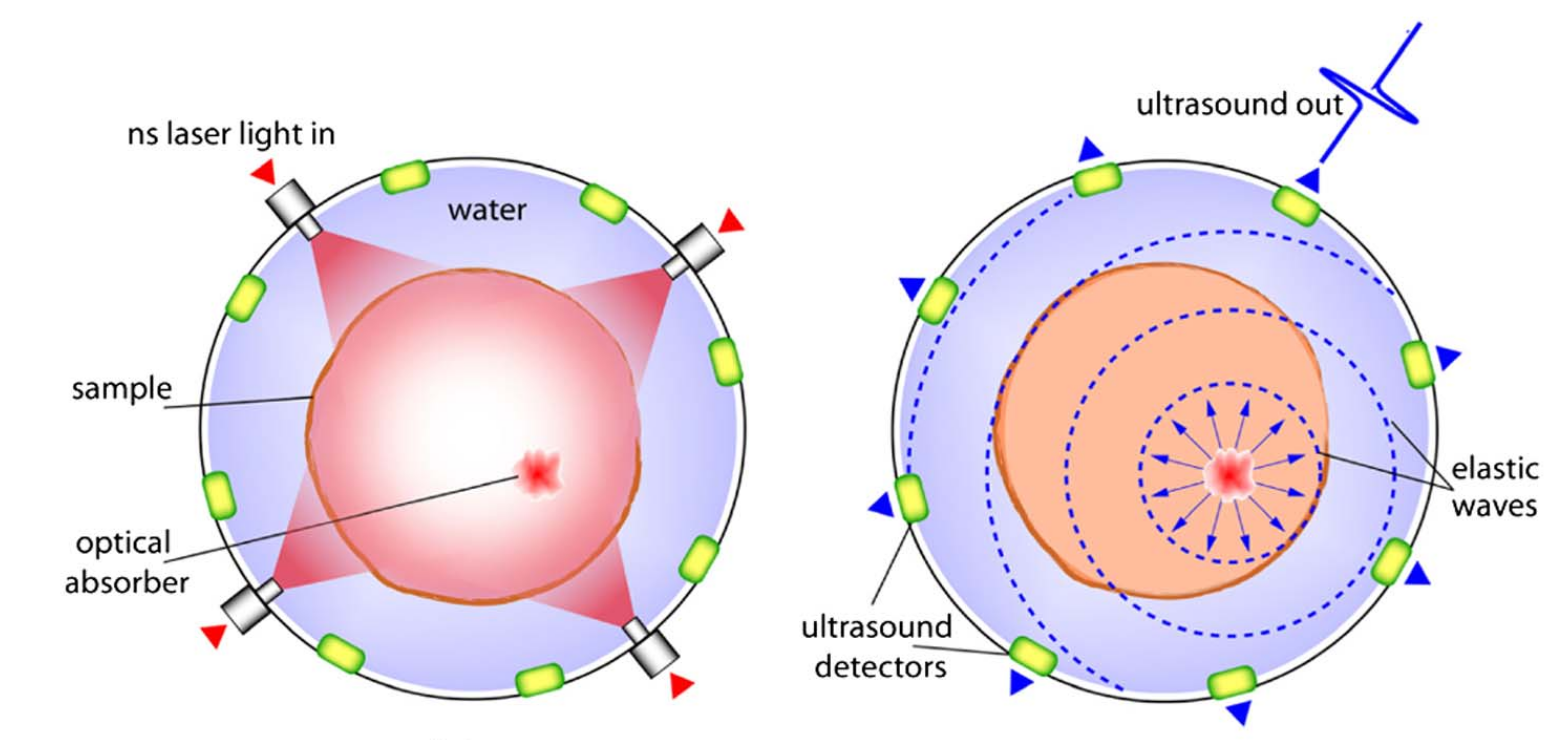 Hearing radio frequencies – xcorr: AI & neuro